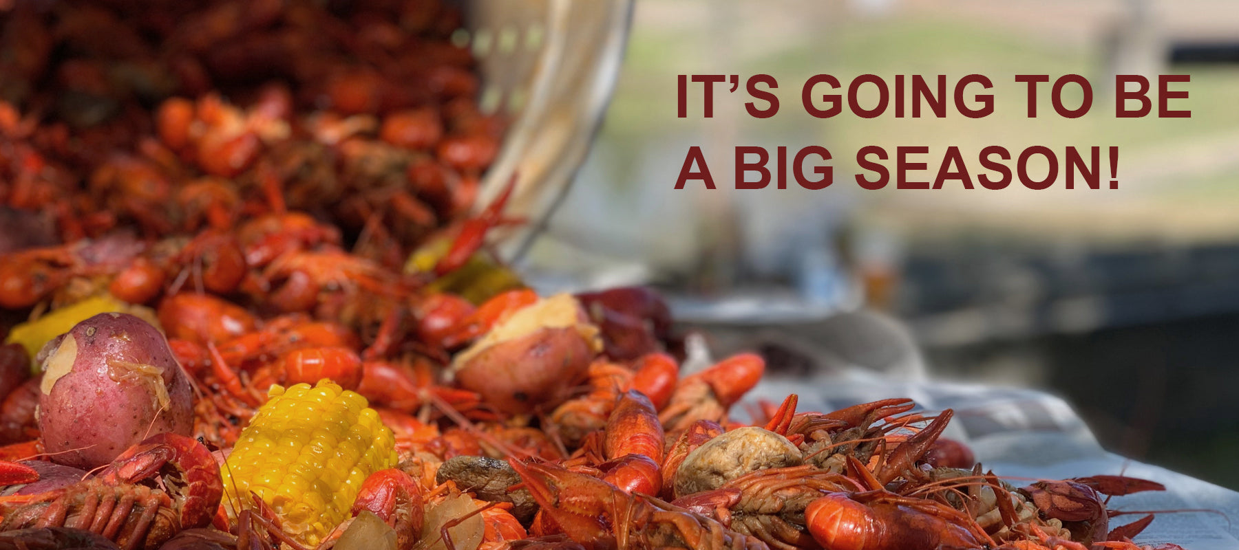 Bayou Classic® – bayouclassic.com